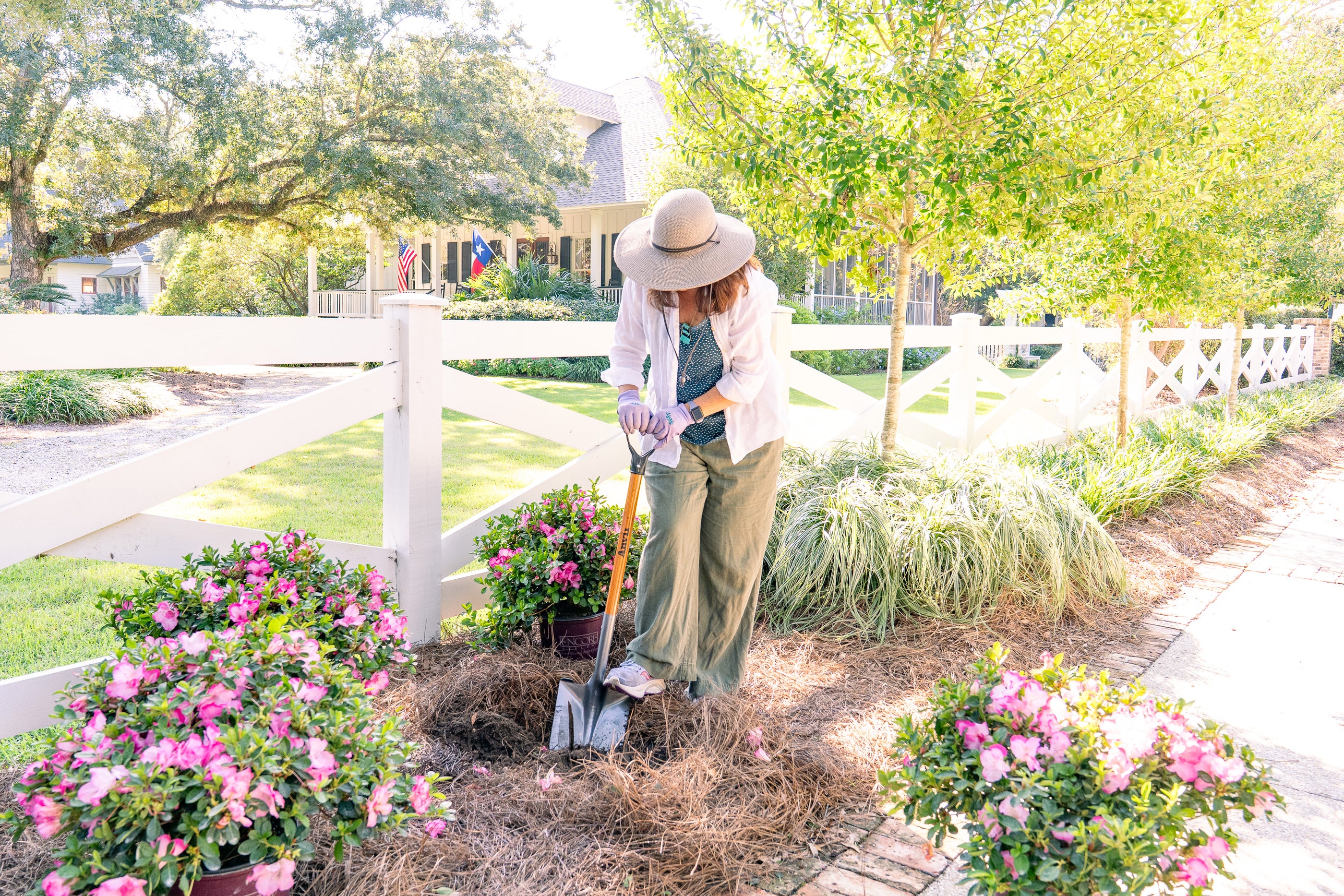 Reblooming Encore Azaleas | Find Your Perfect Bloom Color